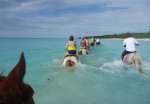 Half Moon Cay Horse Ride | Cruise Stories