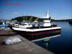 Friday Harbor, San Juan Island | Cruise Stories