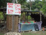 Lifou Cruise Ship Port | Cruise Stories