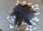 How to Fold a Towel Spider | Cruise Stories