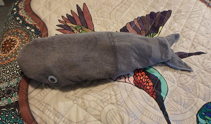 How To Fold a Towel Whale | Cruise Stories