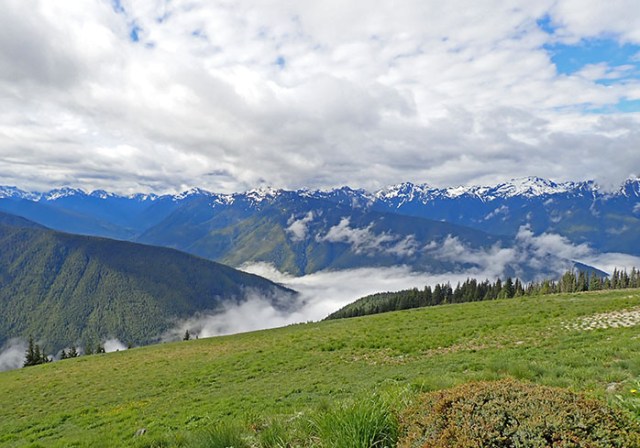 Olympic National Park In A Day | Cruise Stories