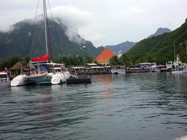 Moorea Cruise Port | Cruise Stories